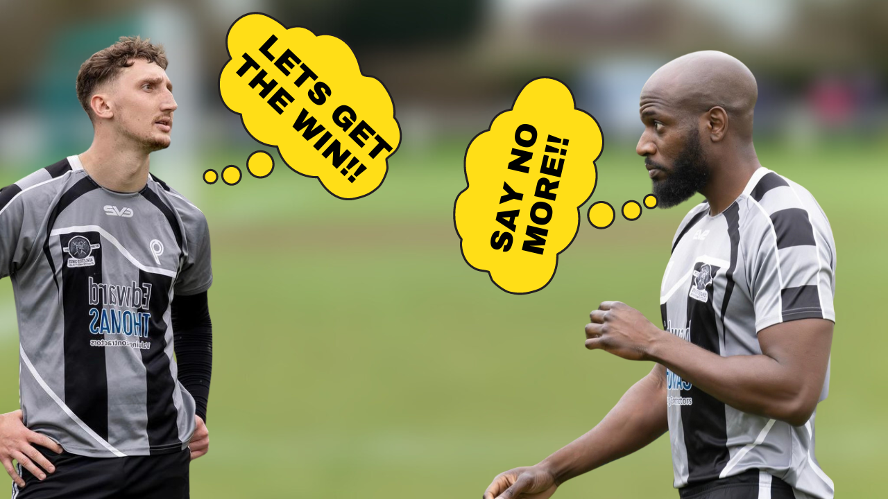 Total Madness in East Sussex